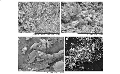 Sem Micrographs Of The Morphology Of Microparticles A Zno Nano B Zno
