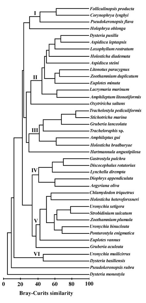 Dendrogram Of Species Distribution Using Group Average Clustering From Download Scientific