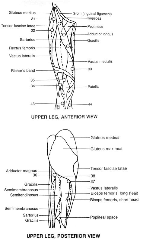 Good Night Restless Legs Bonnie Prudden Myotherapy