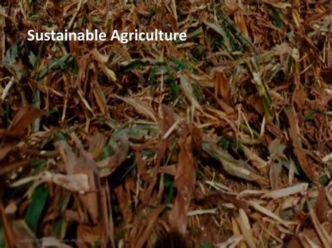 Accenture Data Science Hackathon Presentation Pptx