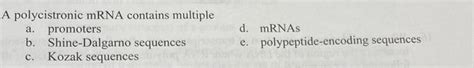 Solved A Polycistronic Mrna Contains Multiple A Promoters