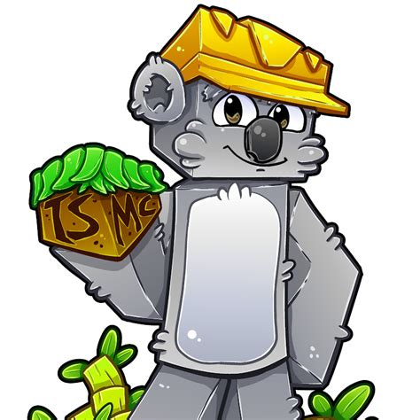 What Could Tsmc Minecraft Buy 2023