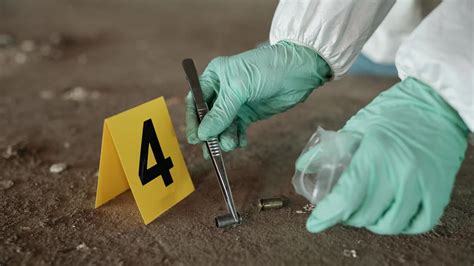 Diferencia Entre Criminología Y Criminalística Elige Tu Mejor Camino