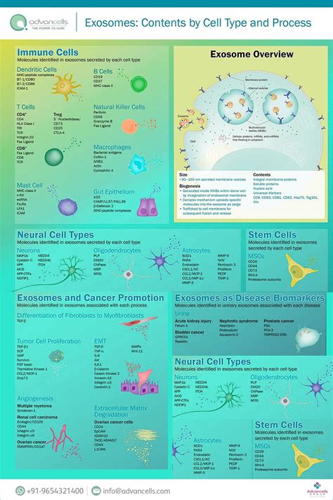 The 30100 Nm Vesicles Formed Inside Intracellular Multivesicular