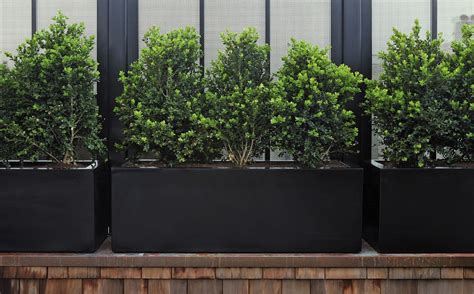 Rectangular Fiberglass Container Large Outdoor Planters Indoor