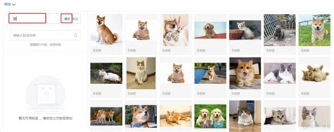 【人工智能】猫狗分类项目实战操作黑白的技术博客51cto博客