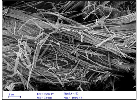 Scanning Electron Microscopy Sem Image Of The Sepiolite Used In The