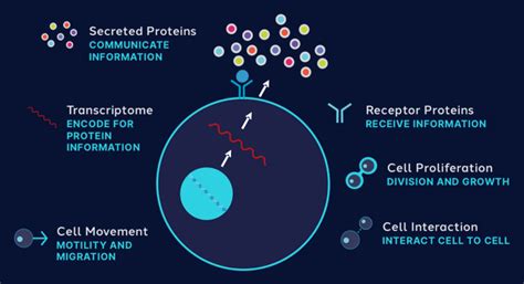 Bruker Cellular Analysis Driving The Next Wave Of Biological Breakthroughs Bruker Cellular