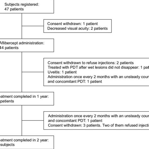 Retinal Pigment Epithelium Window Defect A Colour Fundus Photography
