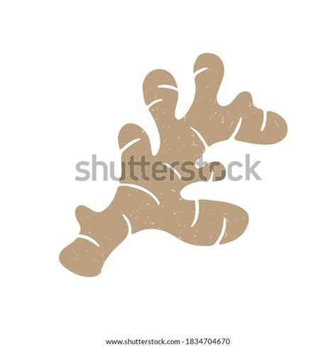 Cute Ginger Root Plant Isolated On Stock Vector Royalty Free