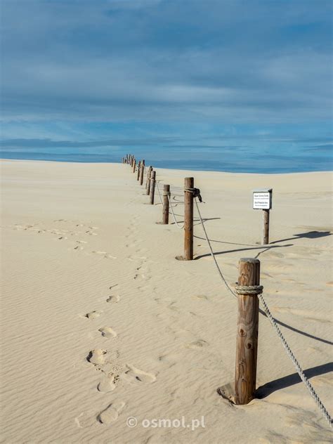 Wydma Łącka Kraina Wędrującego Piasku I Ruchomych Wydm