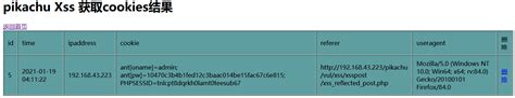 XSS跨站脚本攻击Cross site script解析及靶场复现 Easbabe 博客园 XSS跨站脚本攻击Cross site script解析及靶场复现 Easbabe 博客园