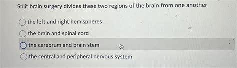Solved Split Brain Surgery Divides These Two Regions Of The
