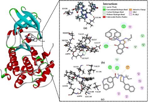 A 3d Representation Of The Predicted Binding Mode In Grey And