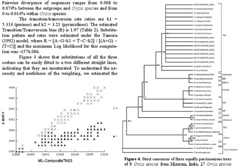 Transition And Transversion Versus Divergence Here ‘ × S Represent
