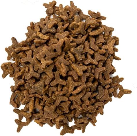 Doodzy Cat Dry Food Super Premium 1 Kg 101 Wagging Tails
