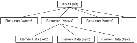 Struktur Hirarki Basis Data My Note