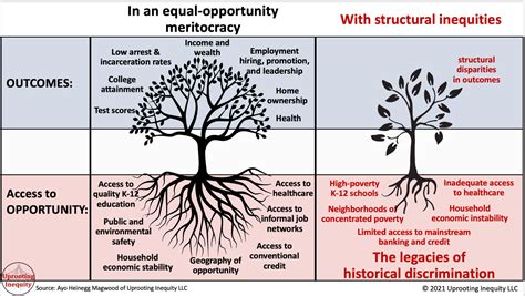 Institutional Racism Examples Understanding Systemic Inequality