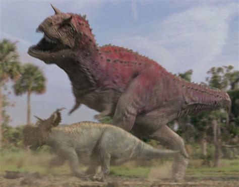 Pachyrhinosaurus Vs Carnotaurus