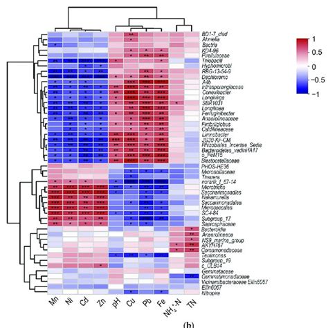 The Bacterial Nodes At The Phylum And Genus Levels Of The Microbial