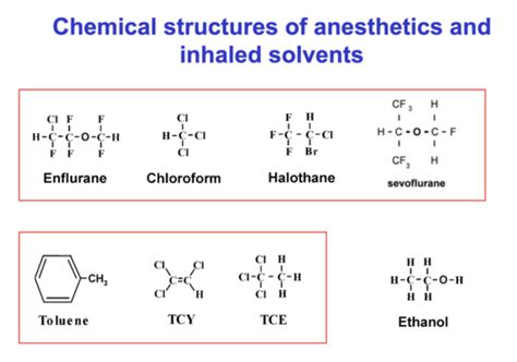 Inhalants Flashcards Quizlet