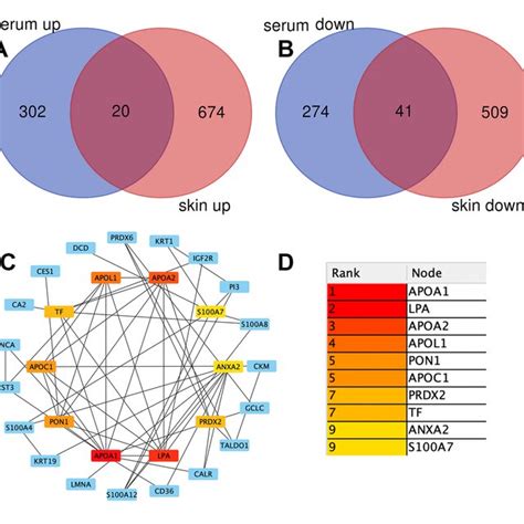 Cross Analysis Of Serum And Skin Proteomics Avenn Diagram Analysis Of
