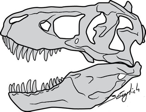T Rex Skeleton Drawing At Explore Collection Of T