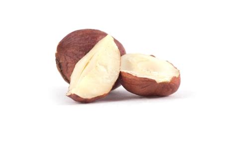 Premium Photo Hazel Nut