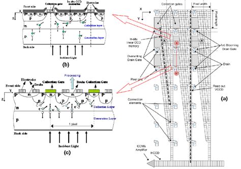 The Isis 100m Structure A Front Side Isis Structure B Cross Section Download Scientific