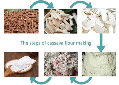 What Are The Steps Of Cassava Flour Processing Line Faq