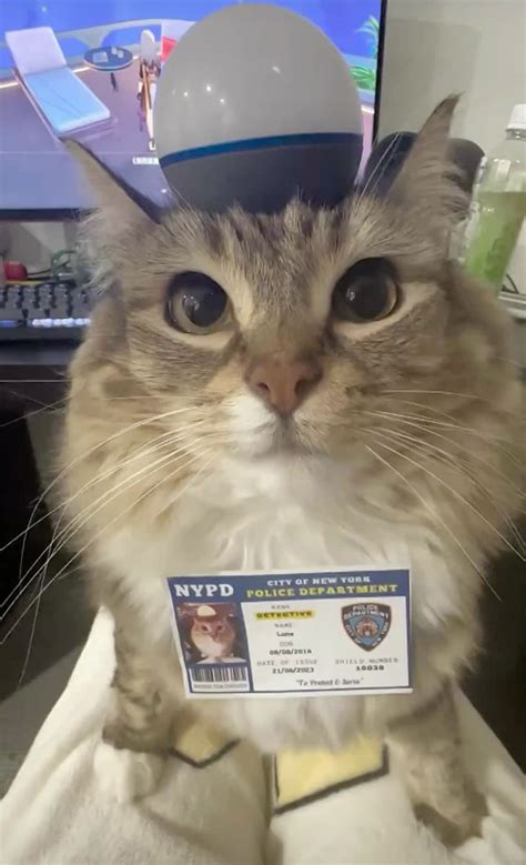 Пин от пользователя Happy Whimsical Guy 💭🏝🐾🔪 на доске Silly Billy