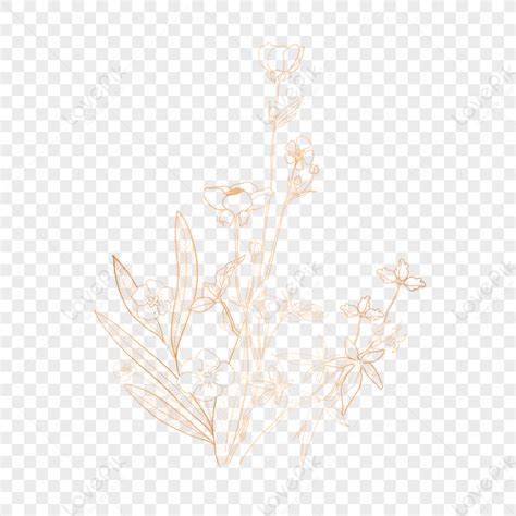 Flower Grass Jungle Gold Line Draft Flowerdraftsgold Leaf Png Picture