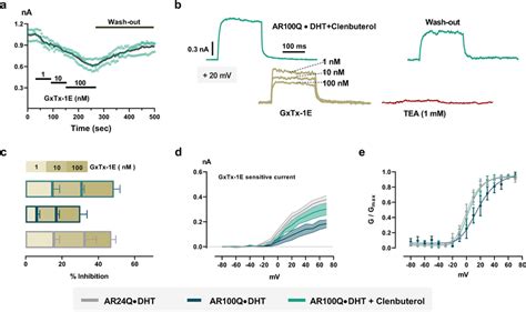 Delayed Rectifier Potassium Currents Are Sensitive To Gxtx 1e A Time