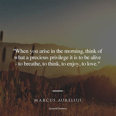 Marcus Aurelius Quotes When You Arise In The Morning