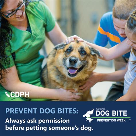Dog Bite Prevention