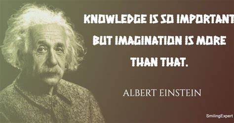 Einstein Bee Quote