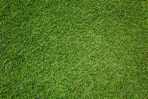 Premium Photo Green Grass Background And Texture