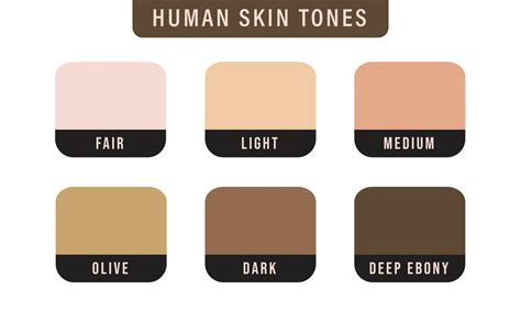 Human Skin Tones Vector Color Palette 33246898 Vector Art At Vecteezy