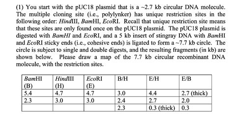 Solved 1 You Start With The Puc18 Plasmid That Is A ~2 7