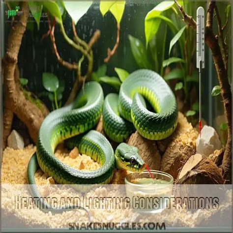 Safe Snake Substrate For Humidity Best Bedding Options For Your Pet