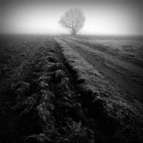 Breath By Kamil Mysiak Art Work Art Limited