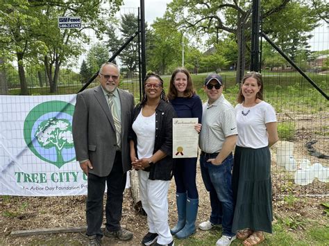 Tiny Forest Summit Nj