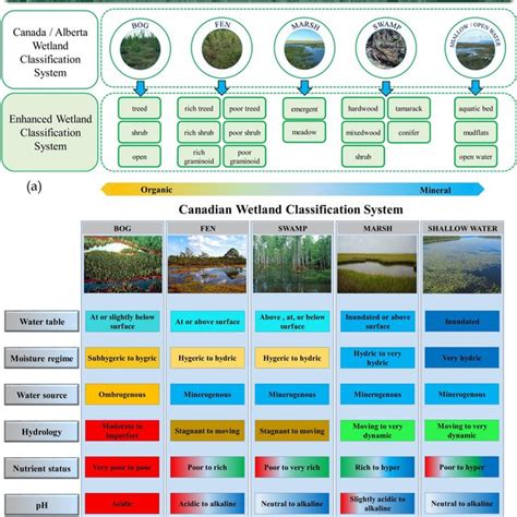 A The Well Known Wetland Classification Systems Used In Canada B