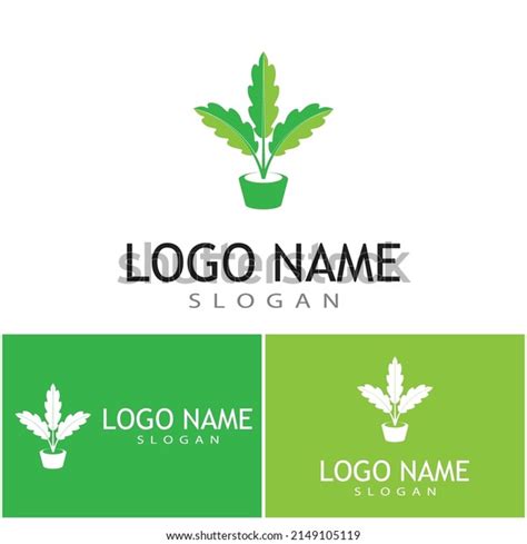 Leaf Shutter Lens Aperture Nature Photographer Stock Vector Royalty