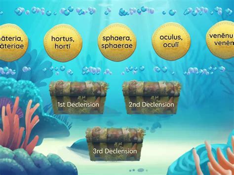 Which Declension Speed Sorting