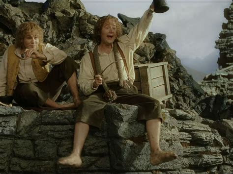 Pippin Costume The Hobbit Lord Of The Rings Merry And Pippin