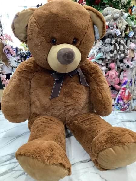Jumbo Teddy Chocolate Donnas Flower Shop 02 4789 0722