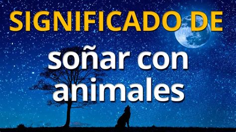 Soñar Con Serpientes Y Su Simbolismo
