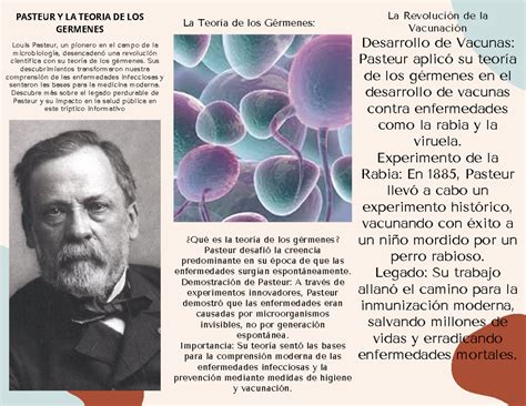 Pasteur Y La Teoria Pasteur Y La Teoria De Los Germenes Louis Pasteur