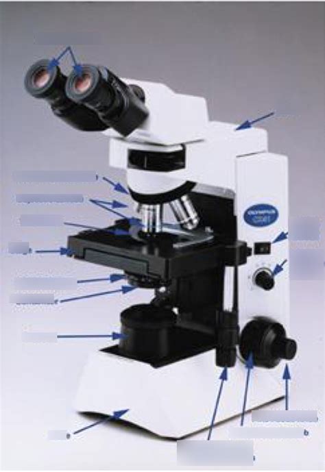 Microscope Diagram Diagram Quizlet